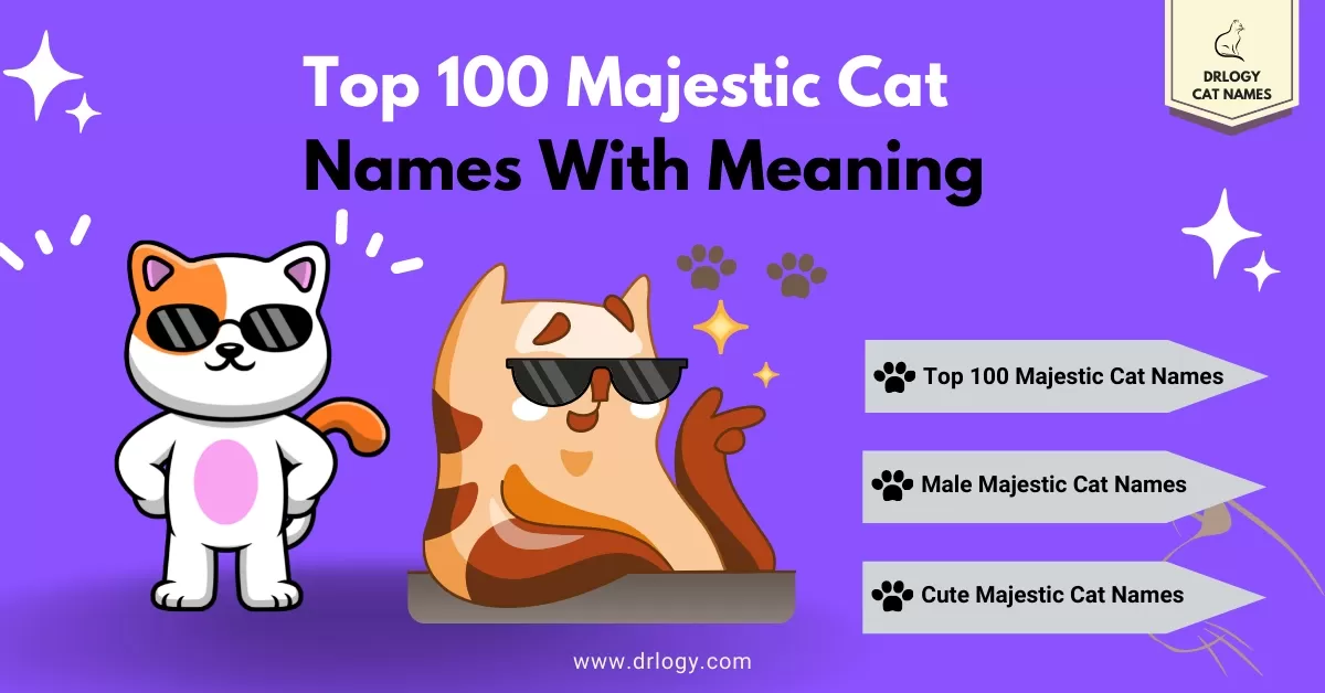 111 Best Majestic Cat Names Male With Meaning Drlogy Cat Names 111 Best Majestic Cat Names Male With Meaning Drlogy Cat Names